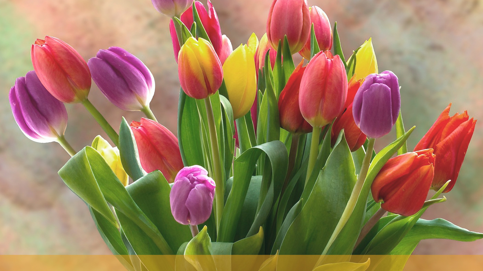 | Le repos Saint-François d'Assise